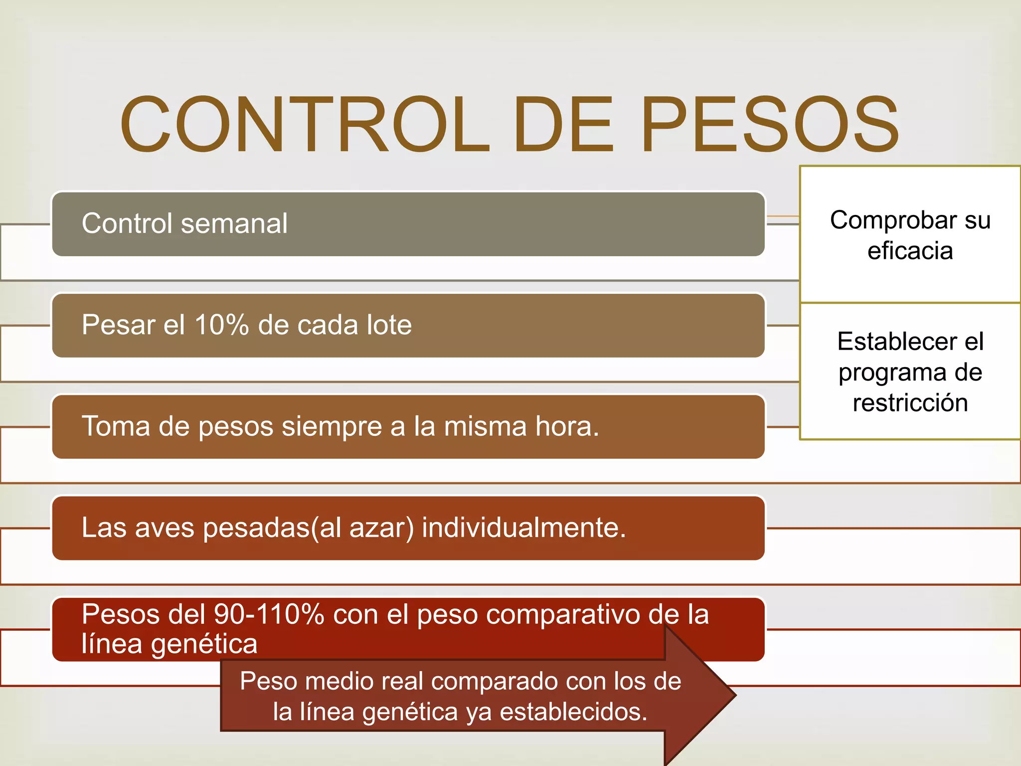 Manejo de reproductoras pesadas | PPT