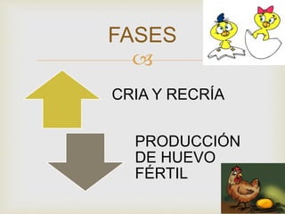 Manejo de reproductoras pesadas | PPTX