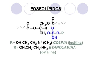12_MEMBRANAS BIOLOGICAS (1).pdf