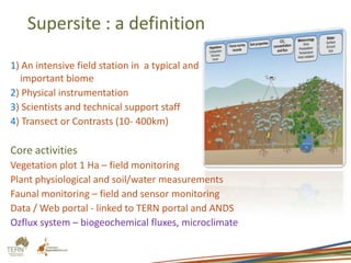 Mike Liddell_A new approach to intensive ecosystem research ...