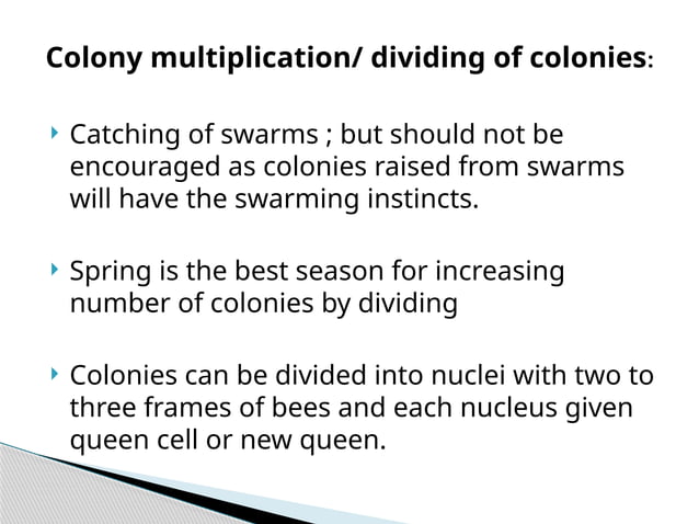 Miscellaneous management in beekeeping ppt | PPT