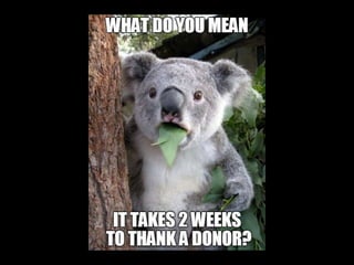 12 More Internet Memes for Nonprofits | PPTX