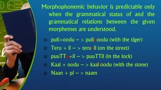 12 morphophonemics | PDF | Geology | Science