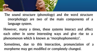 12 morphophonemics | PDF | Geology | Science
