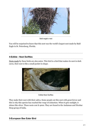 12 most amazing nests of the world || one such nest of the world which ...