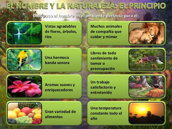 Biodiversidad Beneficios Ecosistemas Tipos De Ecosistemas La Images Biodiversidad Beneficios Ecosistemas Tipos De Ecosistemas La Images