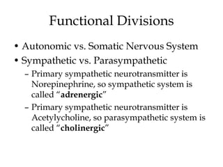Neurological Assessment.ppt