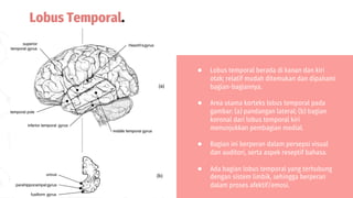 #12 Neuropsikologi Kognitif_part1.pdf