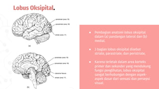 #12 Neuropsikologi Kognitif_part1.pdf