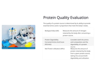12_Nutritive value of proteins_DrGirija_FoodChemistry.pptx