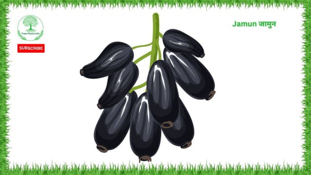 12 oxygen trees named in India 12 oxygen trees name.pdf | Gardening ...