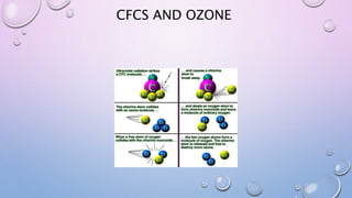 12 ozone depletion | PPTX