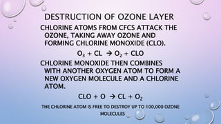 12 ozone depletion | PPTX