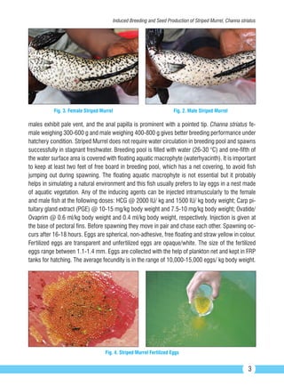 12 Package of Practices_Breeding & Culture_Freshwater Fish Species ...