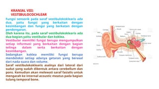 12 saraf kranial di tubuh manusia yang sangat di butuhkan | PPTX