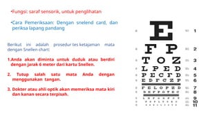 12 saraf kranial di tubuh manusia yang sangat di butuhkan | PPTX