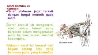 12 saraf kranial di tubuh manusia yang sangat di butuhkan | PPTX
