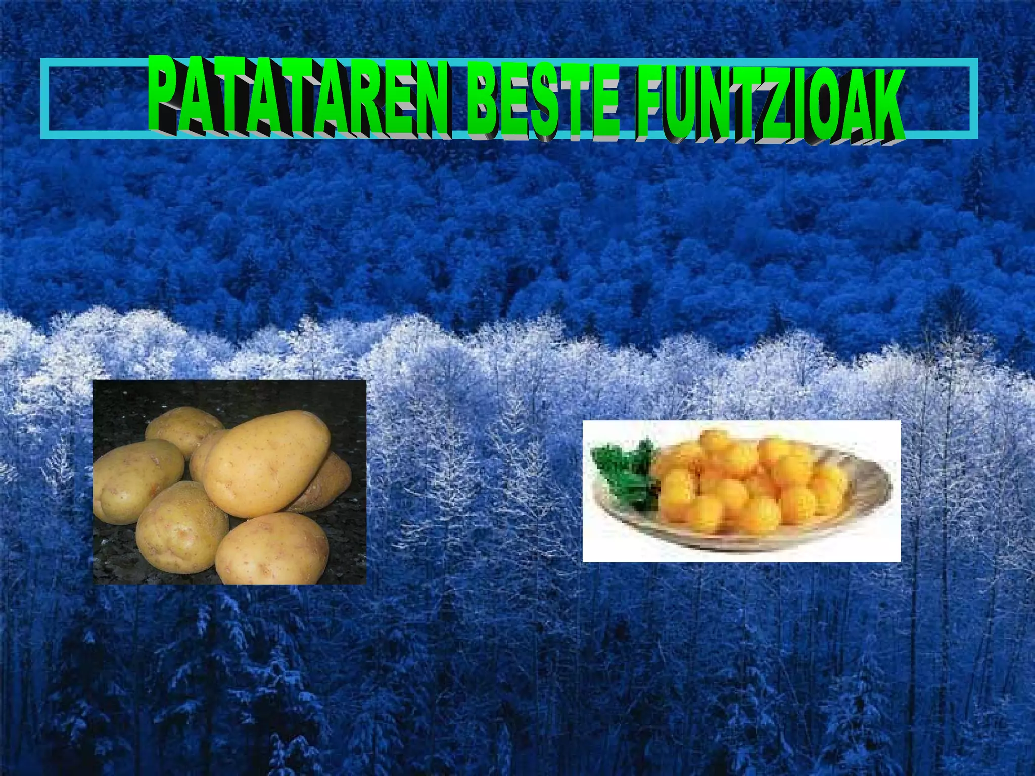 12_patata1.ppt