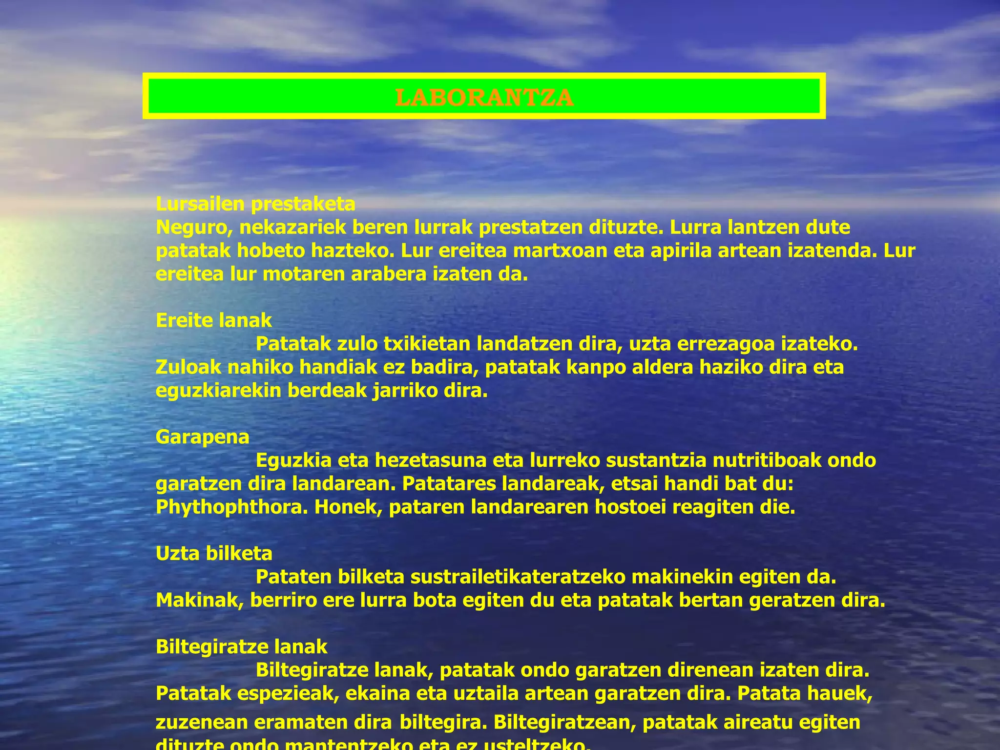 12_patata1.ppt