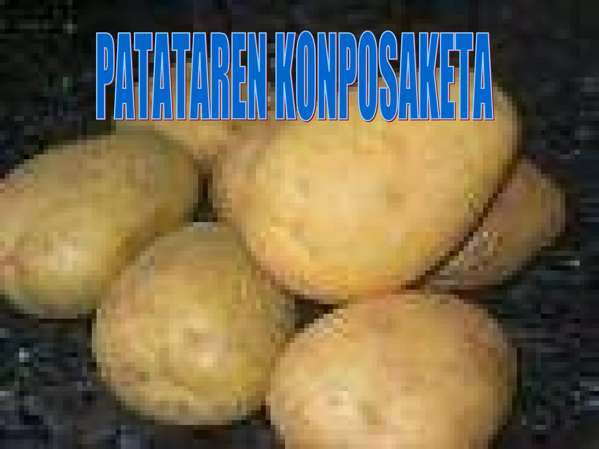 12_patata1.ppt
