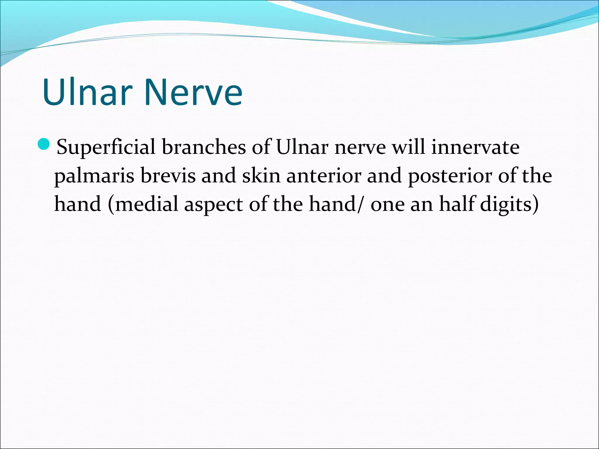 peripheral nerves of the upper limb - applied | PPT