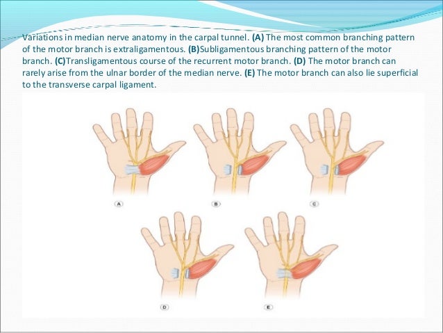 Nerve Injury Of The Upper Extremity Everything You Need