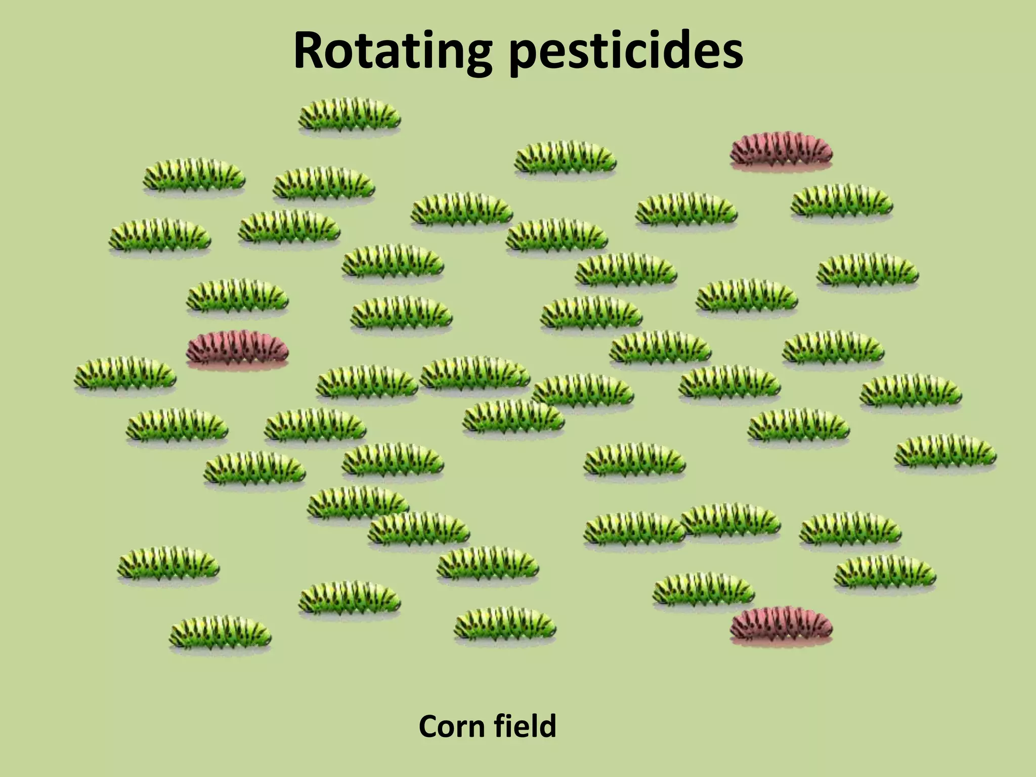 12 Pesticide resistance.pptx