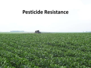 12 Pesticide resistance.pptx