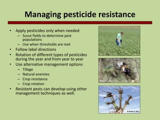 12 Pesticide resistance.pptx