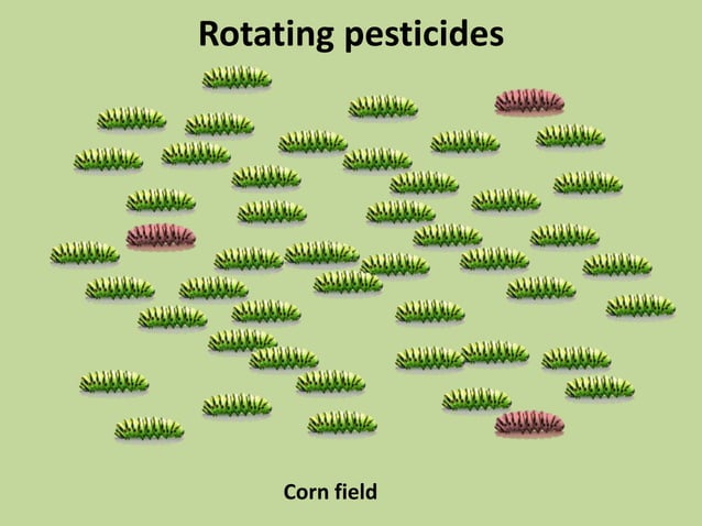 12 Pesticide resistance.pptx | Agriculture | Industries