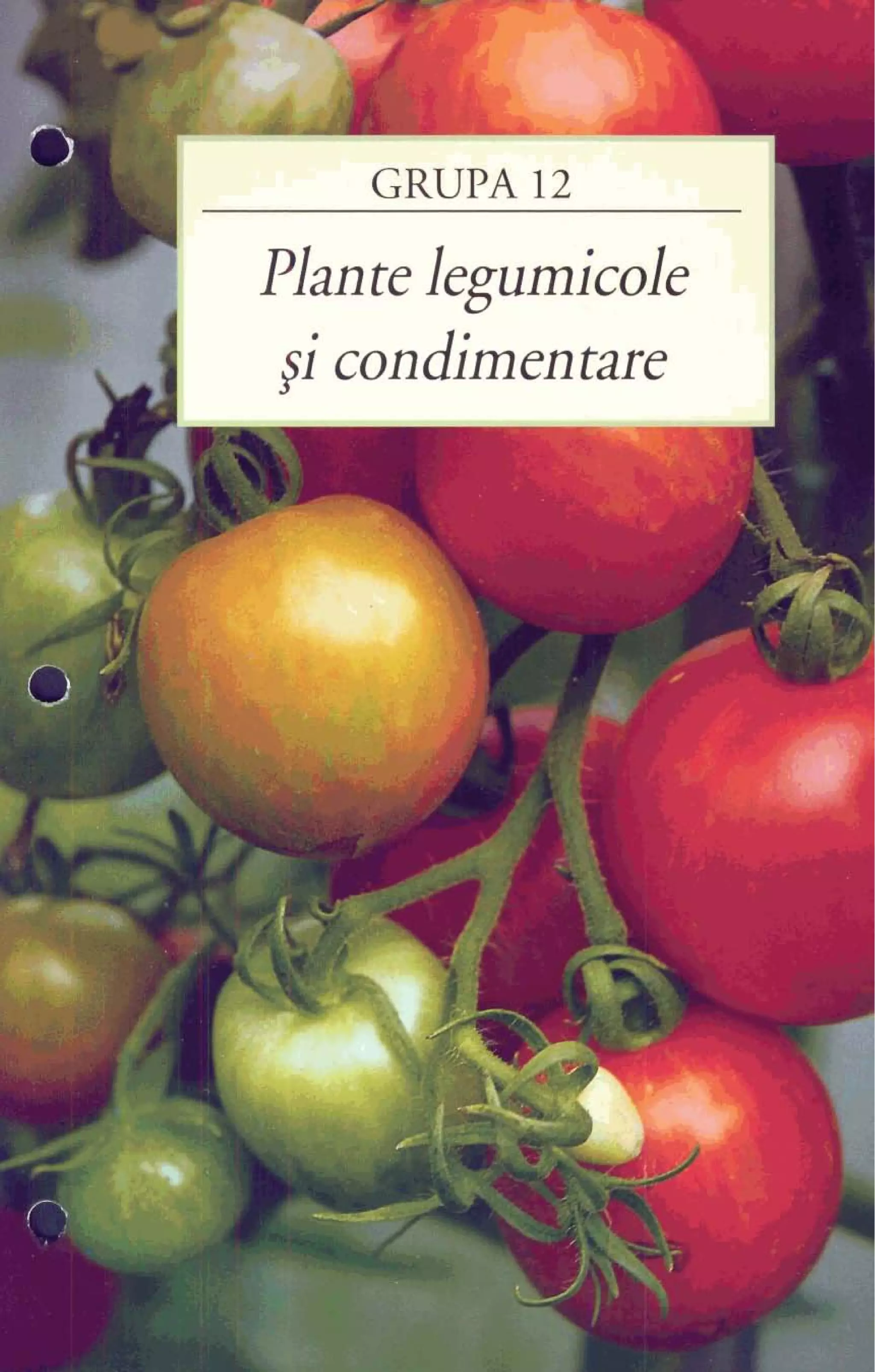 12 plante legumicole si condimentare | PDF