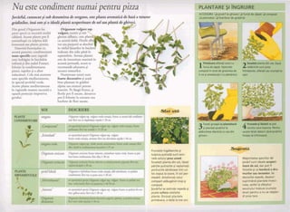 12 plante legumicole si condimentare | PDF