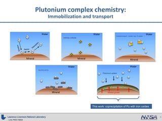 12 plutonium incorporation into goethite and hematite during ...