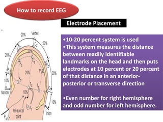 eeg basics in psychiatry | PPTX | Brain and Nervous System Disorders ...