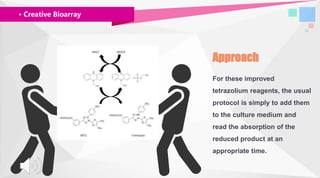 Comparison of Different Methods to Measure Cell Viability | PPTX
