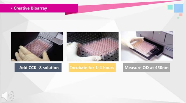 Comparison of Different Methods to Measure Cell Viability | PPTX ...