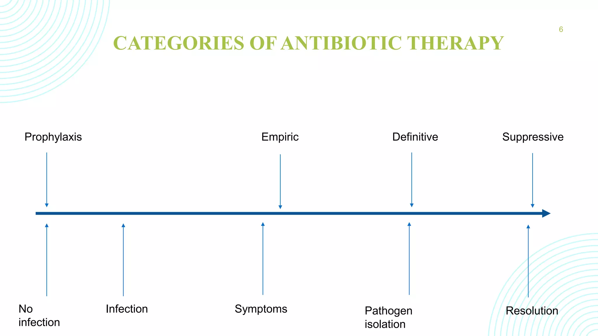 12 PRINCIPLES OF ANTIBIOTIC THERAPY seminar 12.pptx