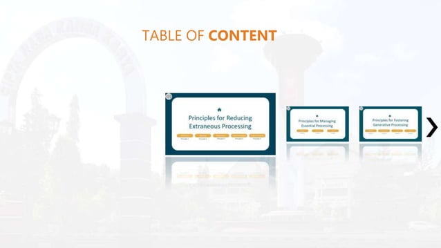 12 Principles of Multimedia Learning.pptx