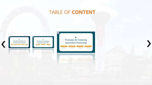 12 Principles of Multimedia Learning.pptx