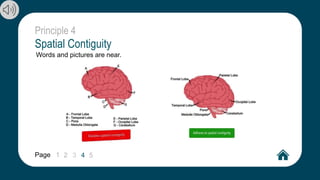 12 Principles of Multimedia Learning.pptx