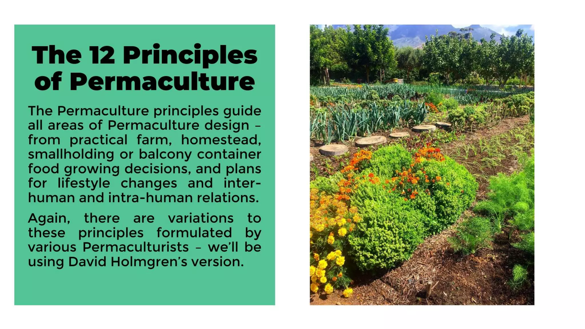 12 principles of permaculture | PPTX | Agriculture | Industries