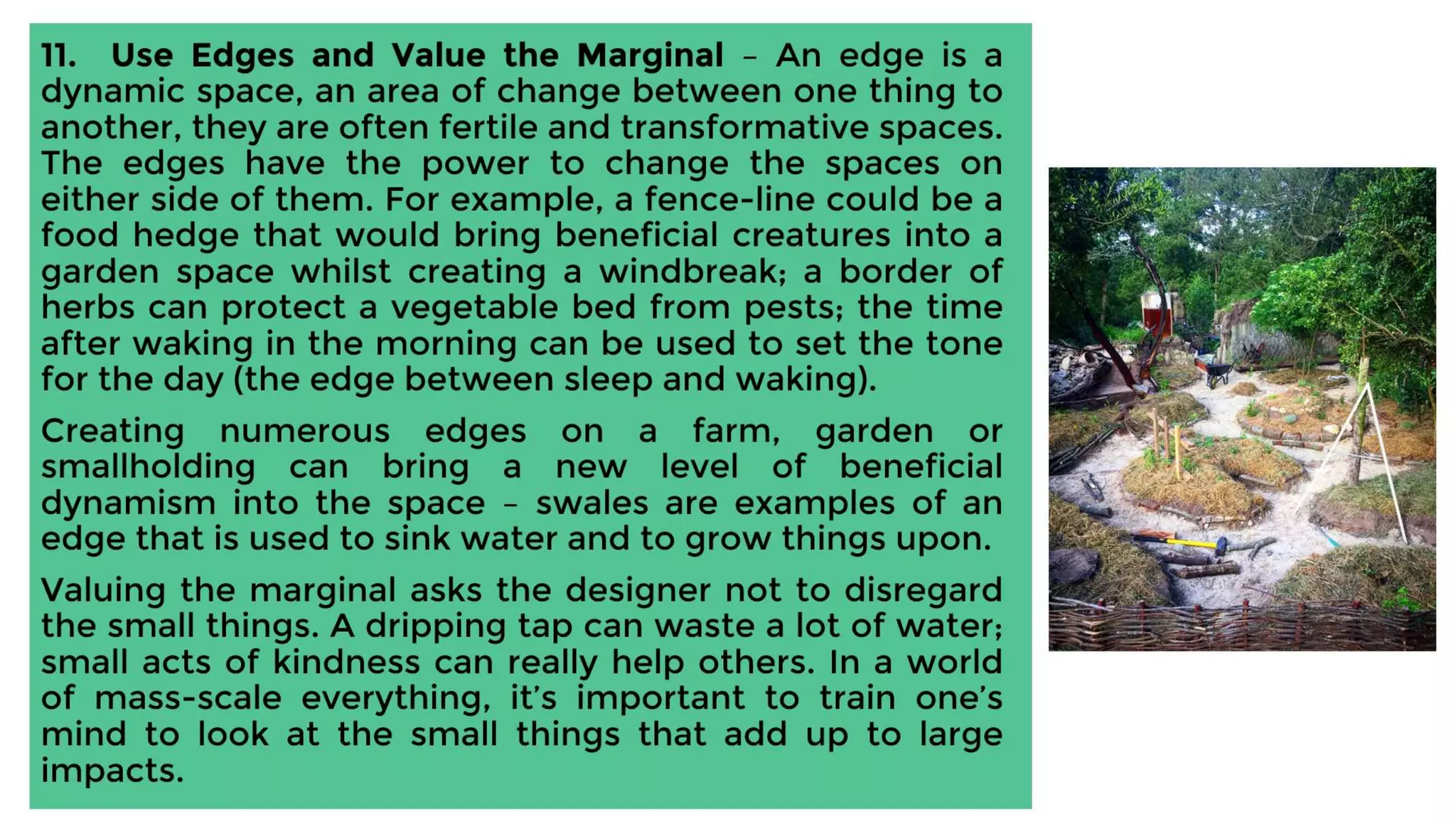 12 principles of permaculture | PPTX | Agriculture | Industries