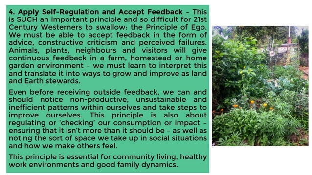 12 principles of permaculture | PPTX | Agriculture | Industries