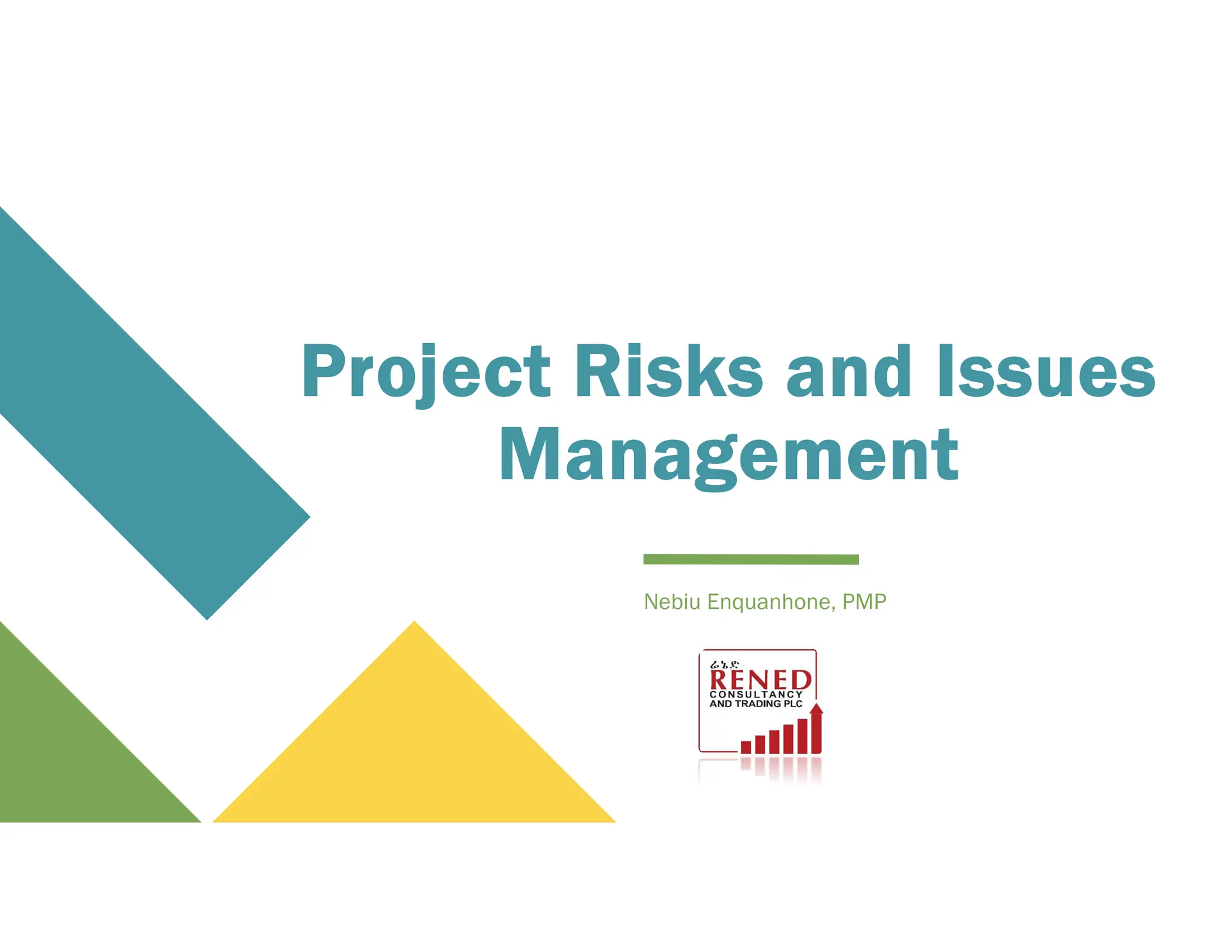 12 Project RISK and ISSUES Management.pdf