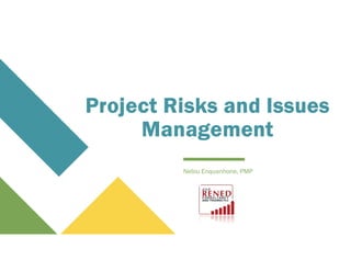 12 Project RISK and ISSUES Management.pdf