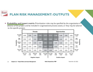 12 Project RISK and ISSUES Management.pdf