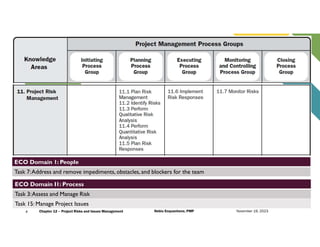 12 Project RISK and ISSUES Management.pdf