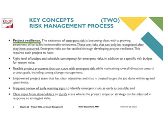 12 Project RISK and ISSUES Management.pdf