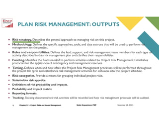 12 Project RISK and ISSUES Management.pdf