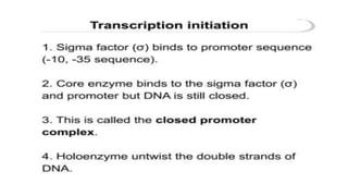 DPT - Prokaryotic Transcription | PPT